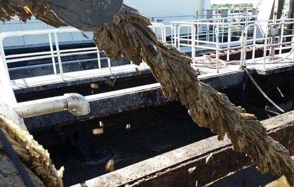 What are Tramp Oils? - Ambar Environmental Oil Skimmers